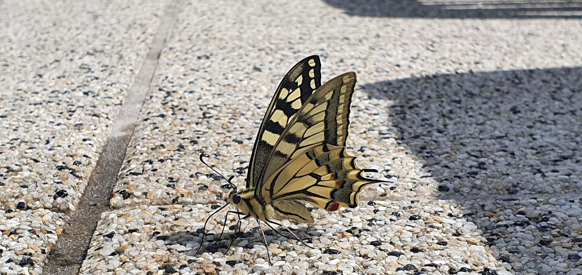 Osebna preobrazba | BeGrejt Inštitut